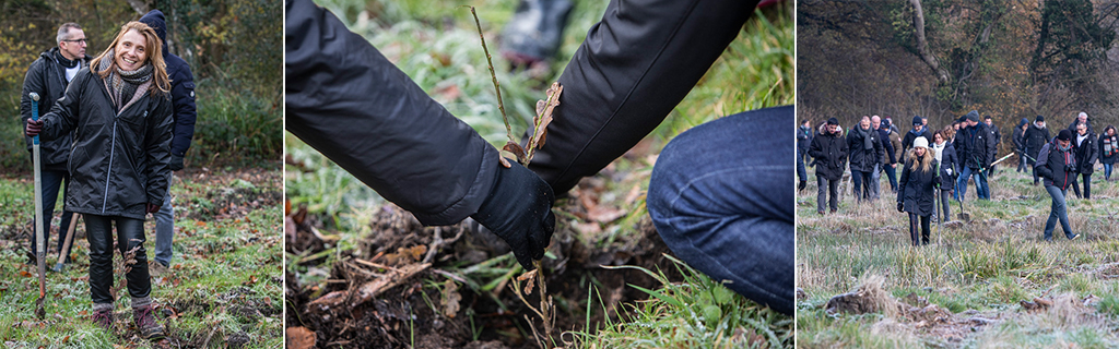 Caring For Forests | Samsic s'engage et agit pour la planète
